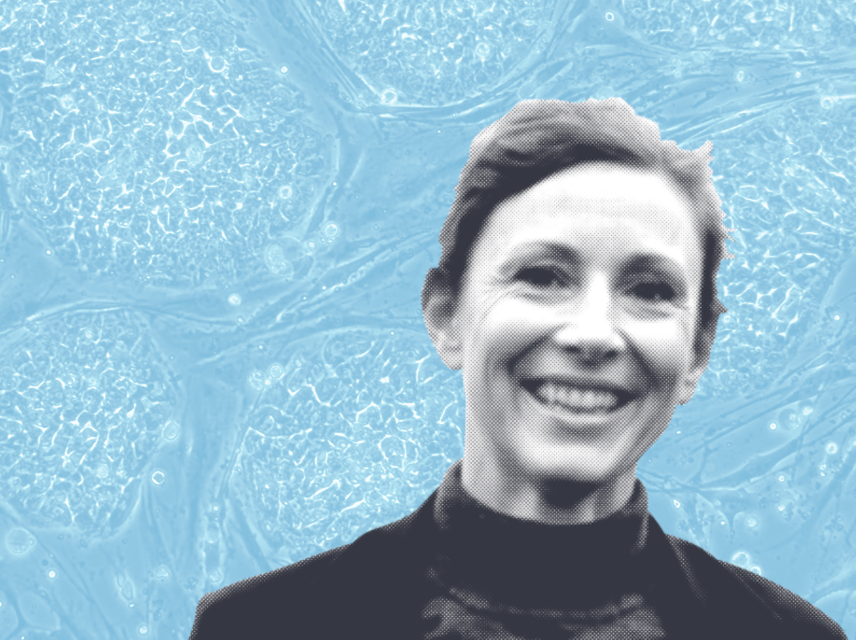 Reviewing the 14-day rule for human embryo research | The Uehiro Oxford ...