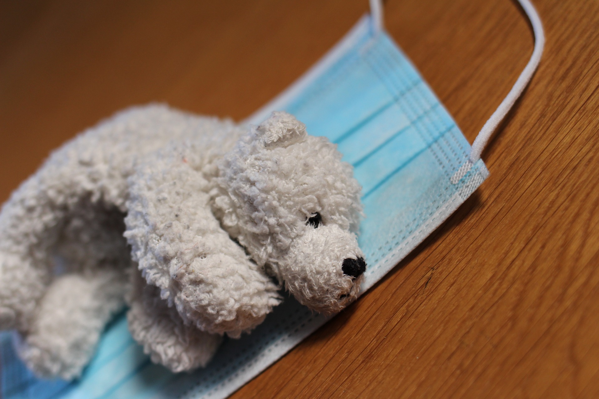 Lisa Forsberg wins APA award for blog post | The Uehiro Oxford Institute