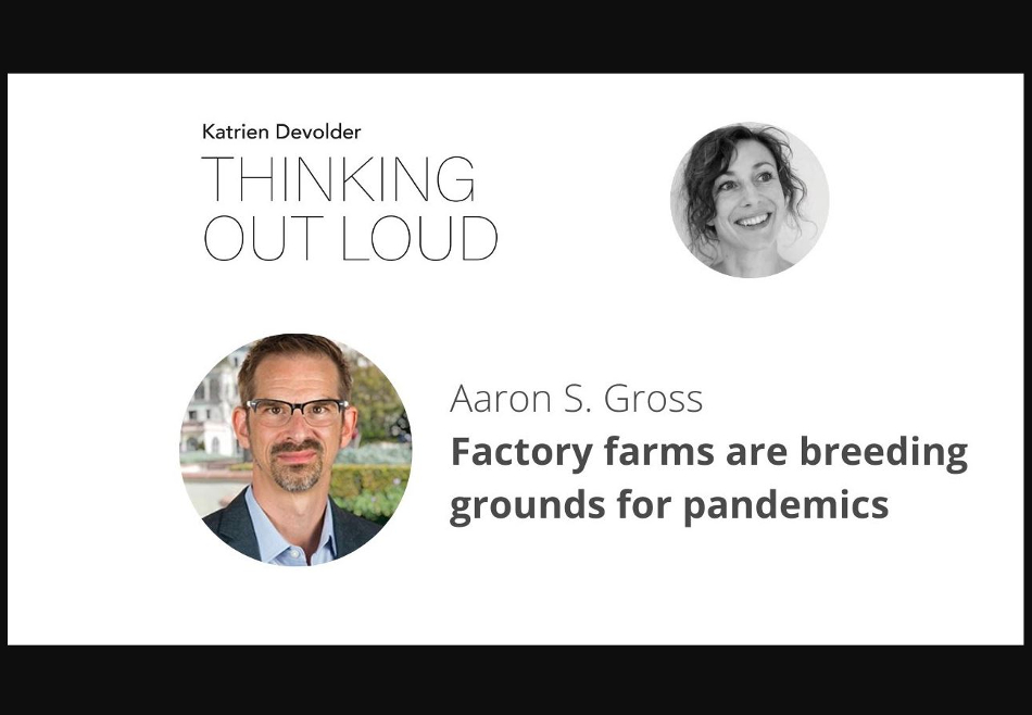 Factory farms are breeding grounds for pandemics! | The Uehiro Oxford ...